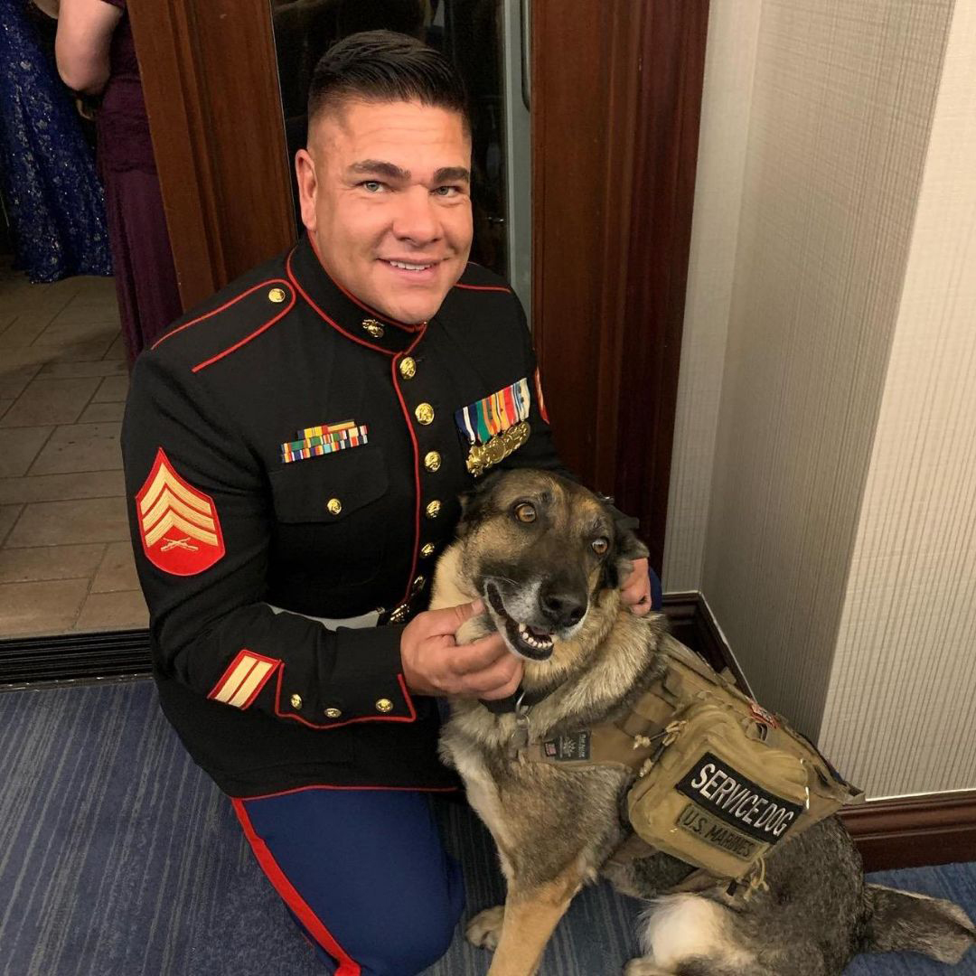 Service Dog Teams — Faithful Service for Veterans